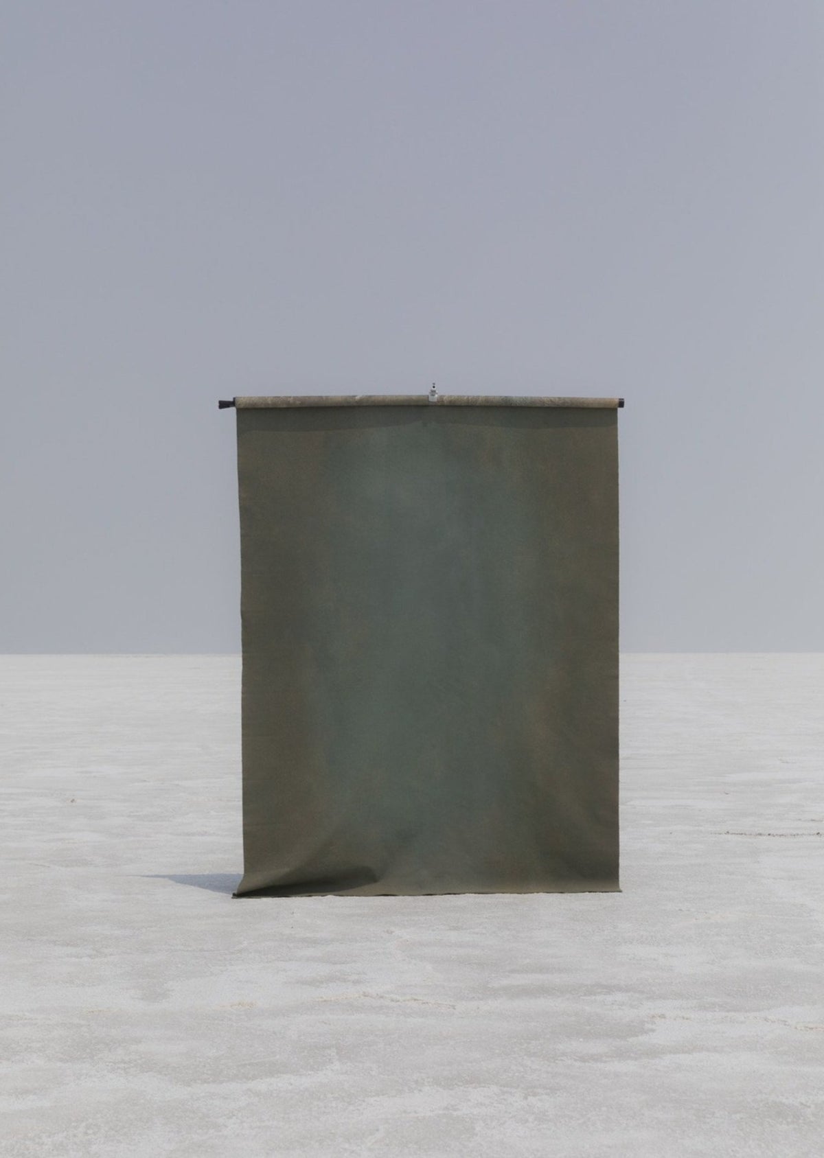 Agave and Opal #0233 // XLarge Hand-Painted Canvas Backdrop