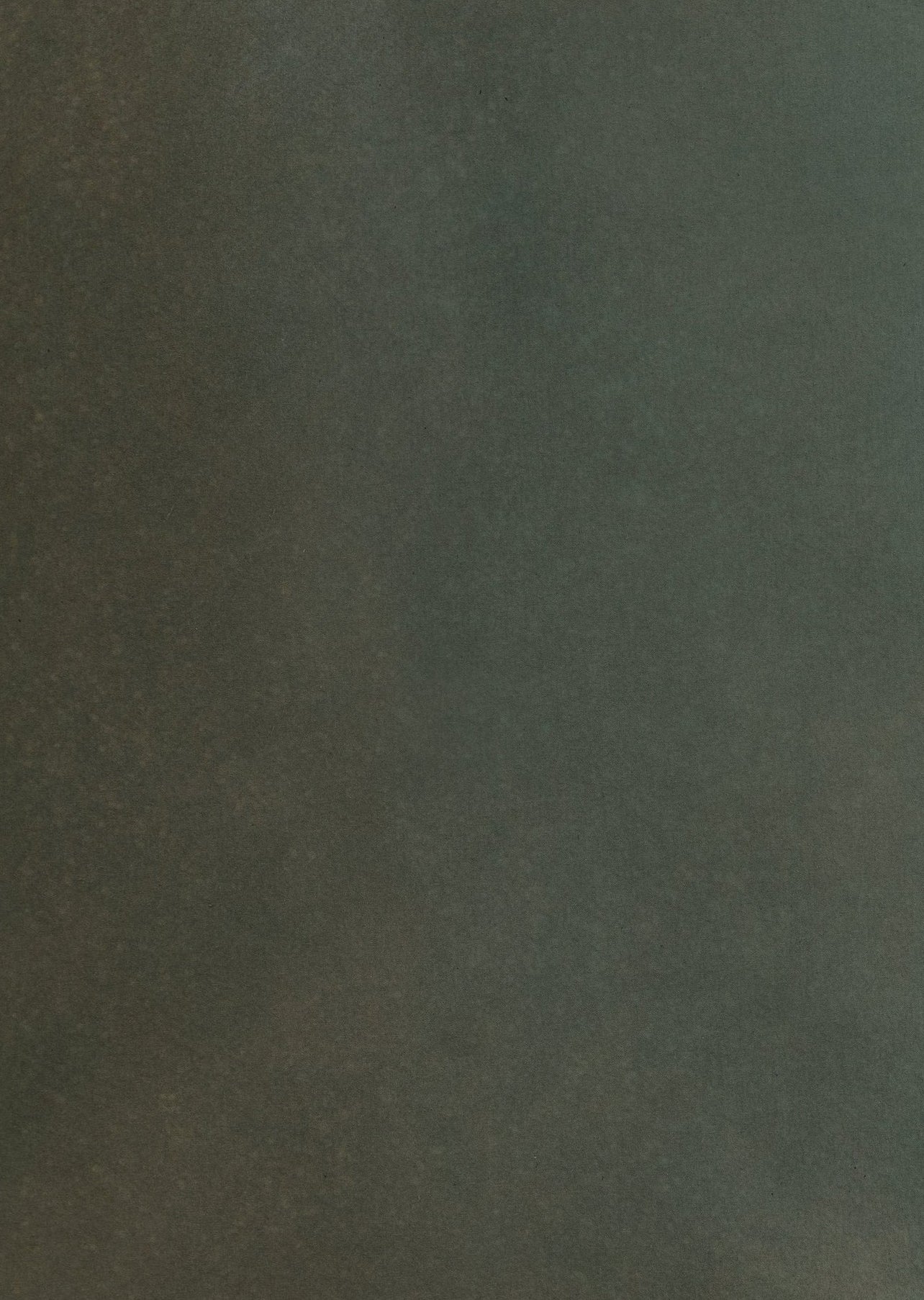 Agave and Opal #0233 // XLarge Hand-Painted Canvas Backdrop
