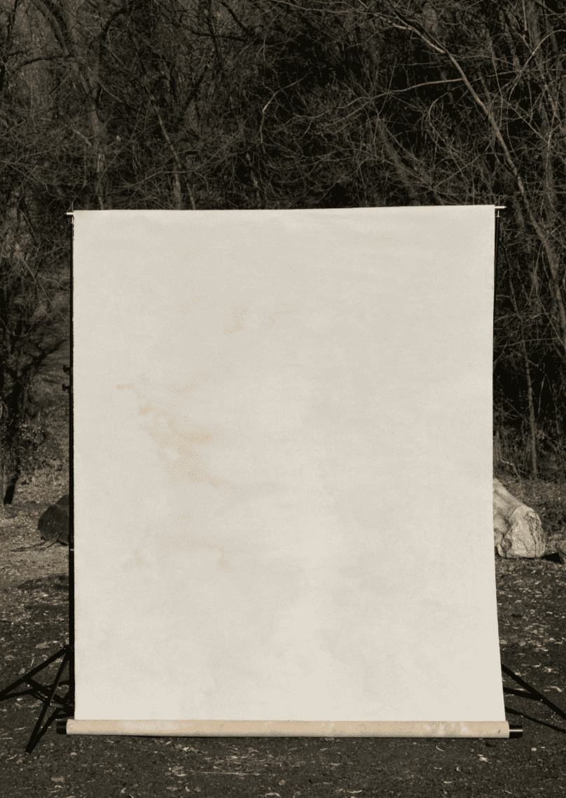 Bonneville Shell Photo Backdrop #0067 // Large