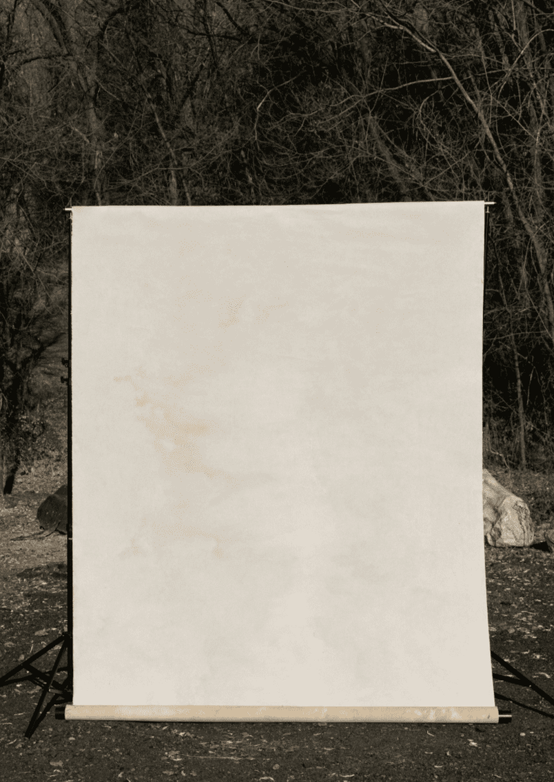 Bonneville Shell Photo Backdrop #0067 // Large